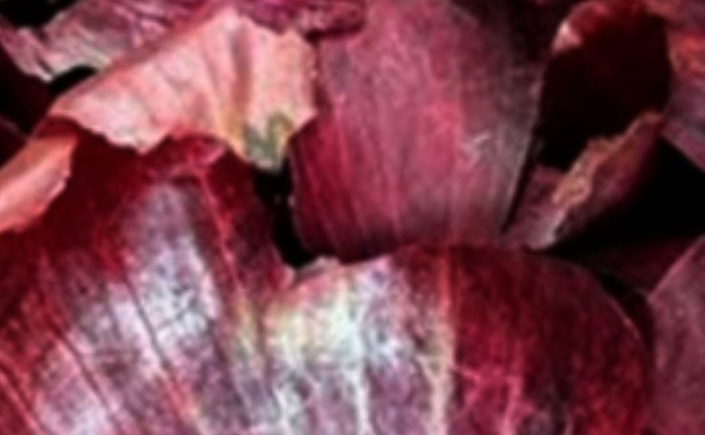 Ancient Onion Tea Recipe for Blood and Liver Detox – Free Cooking