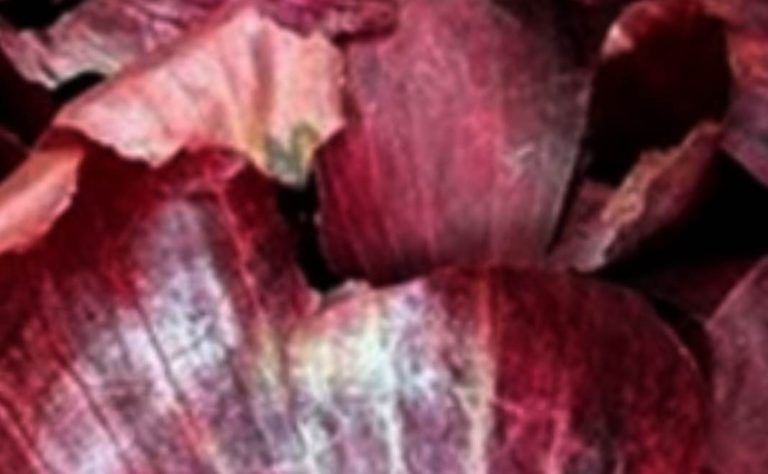 Ancient Onion Tea Recipe for Blood and Liver Detox – Free Cooking